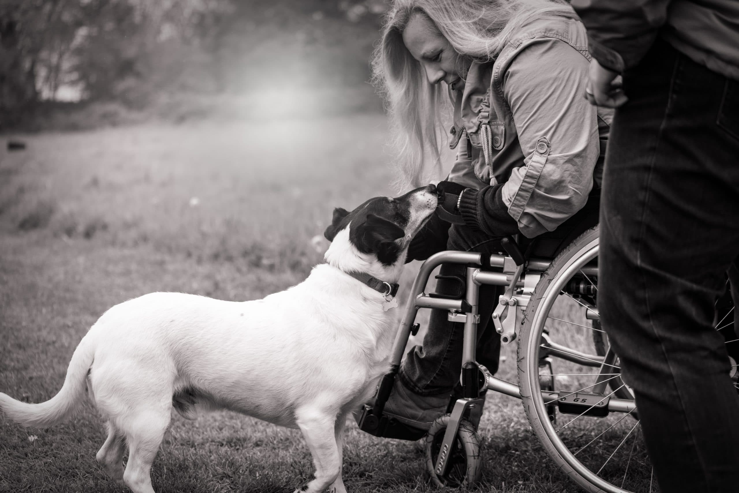 Great Outdoor And Indoor Activities For Wheelchair Users Karman Great Outdoor And Indoor Activities For Wheelchair Users Karman